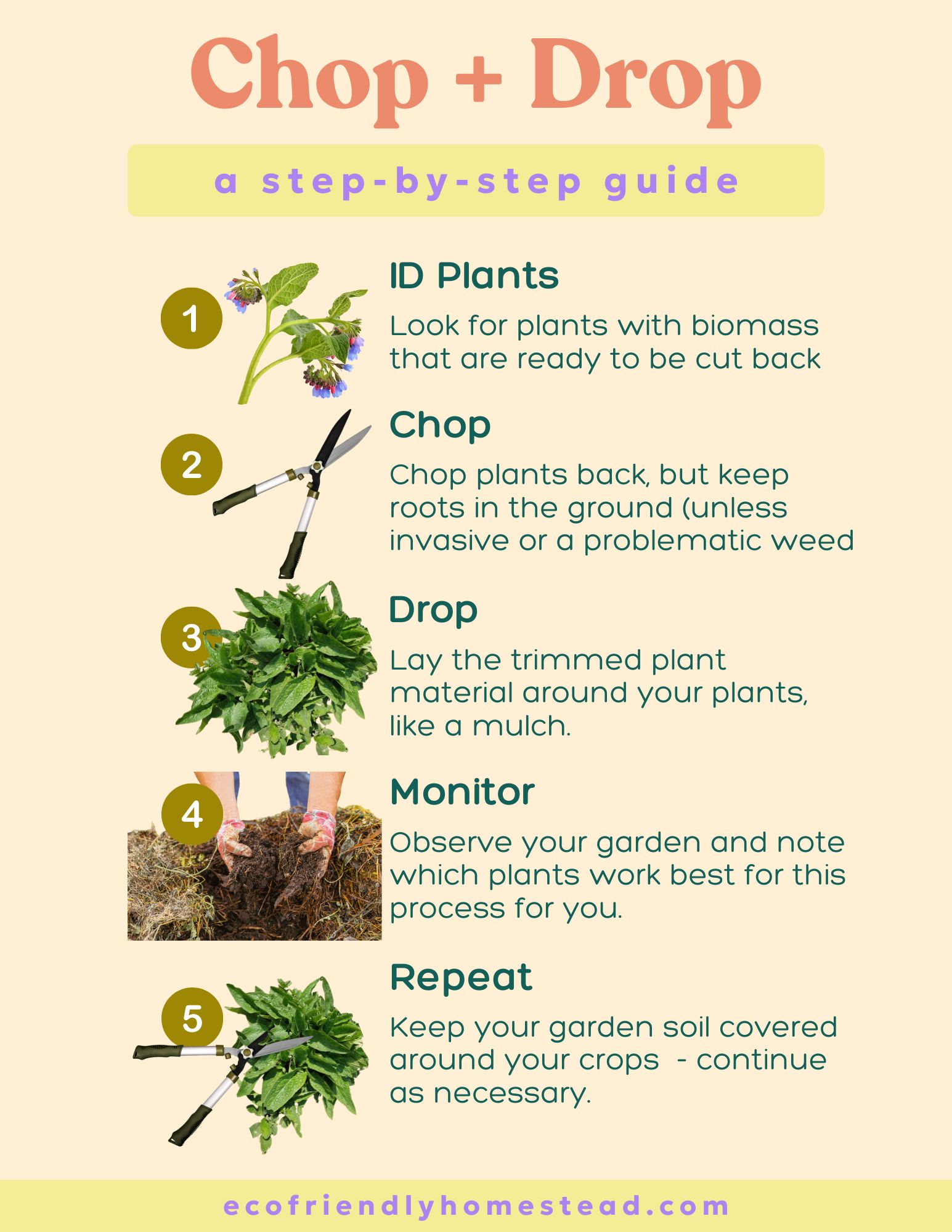 Chop and Drop Explained: Boost Your Garden's Health Naturally